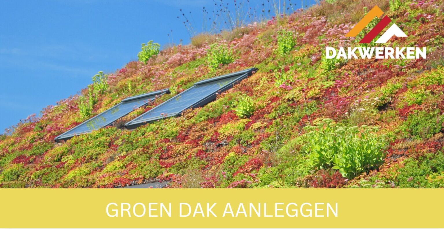 Groendaken: Lagen, Voordelen, Kosten, Subsidies en Aanleg
