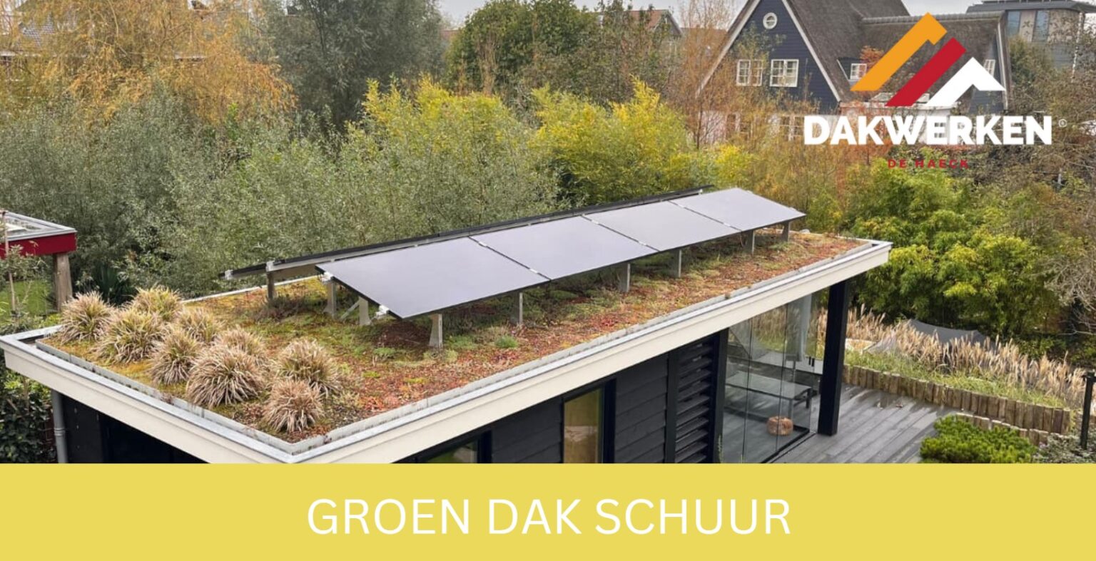 Groendaken: Lagen, Voordelen, Kosten, Subsidies en Aanleg